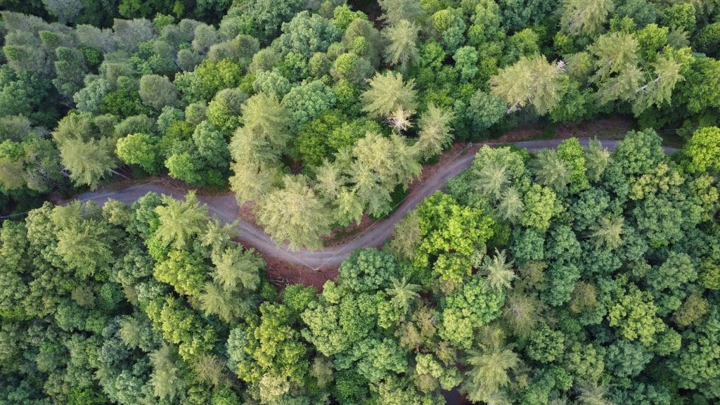 1.2 AC On S Whitepath Cir, Ellijay, GA | appalachias