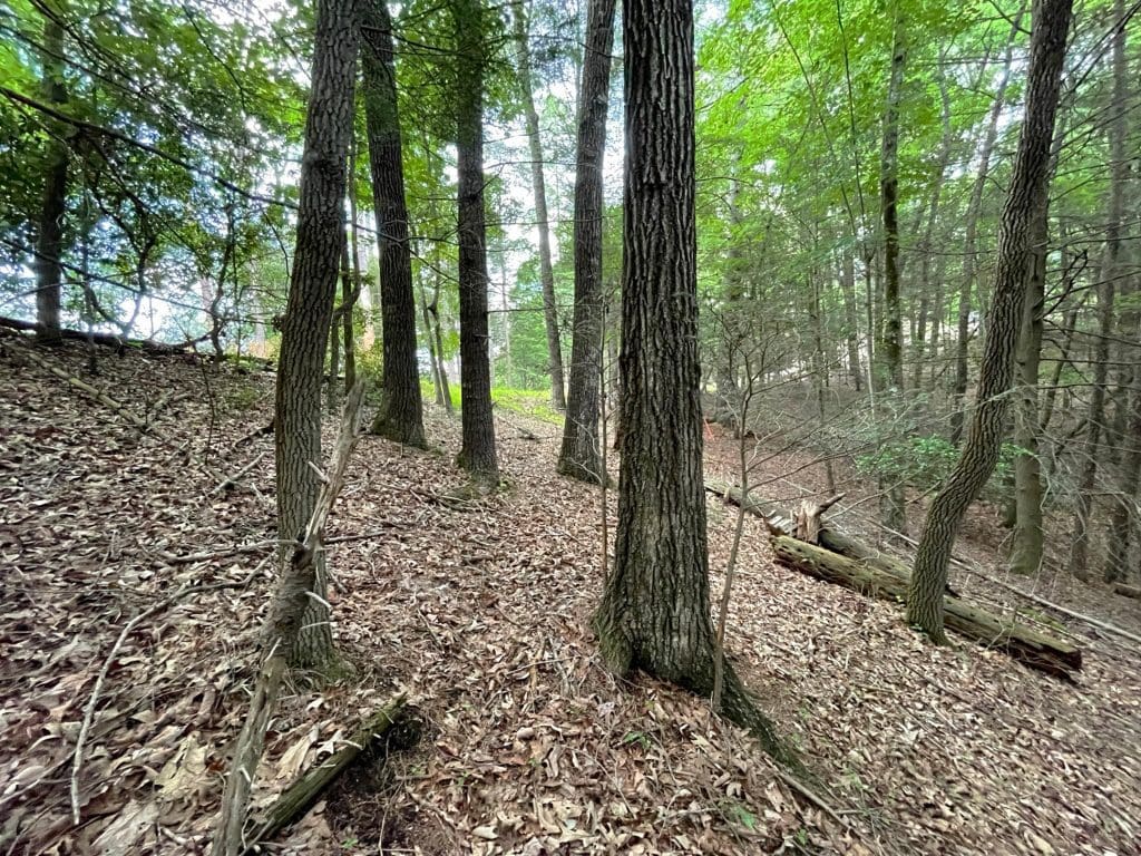 1.2 AC On S Whitepath Cir, Ellijay, GA | appalachias